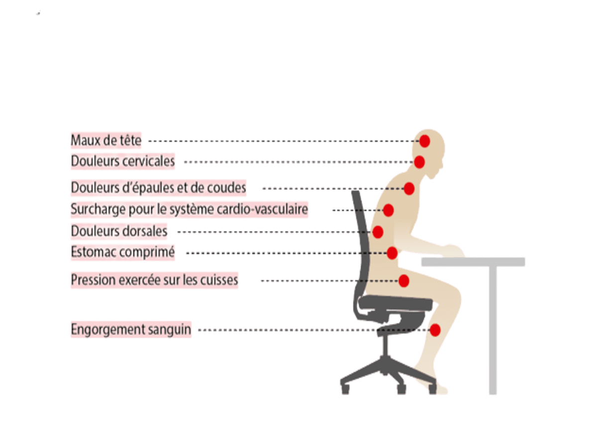 L’ergonomie, un facteur essentiel pour le bien-être au travail ...
